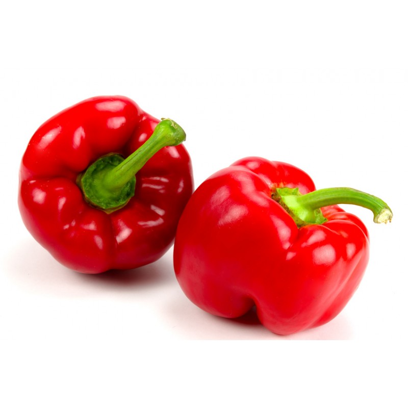 Découvrez nos poivrons rouges 100% bio